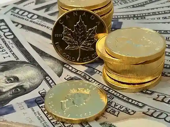 Sell ½ oz Gold Coins – Fast, Trusted & High-Value Profit at ...